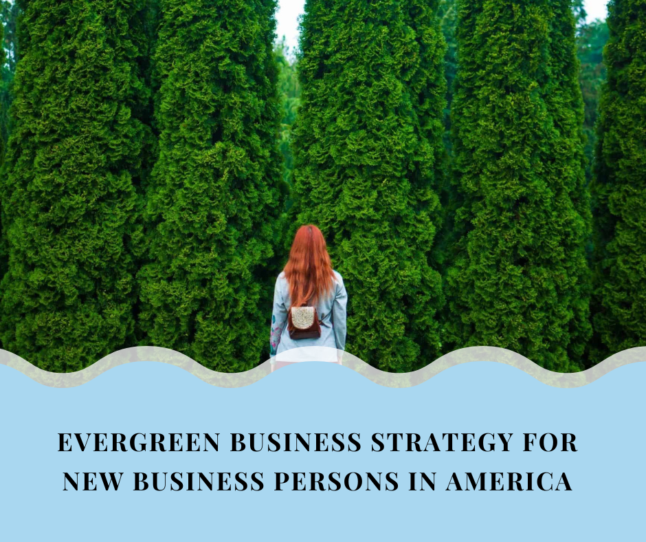 Evergreen Business Strategy For New Business Persons In America ...