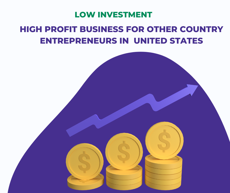 Low Investment High-Profit Business For Other Country Entrepreneurs In ...